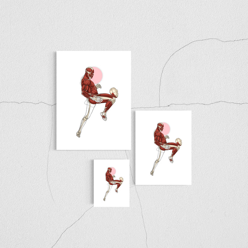 Planche anatomique UFC – En Chair et en Os